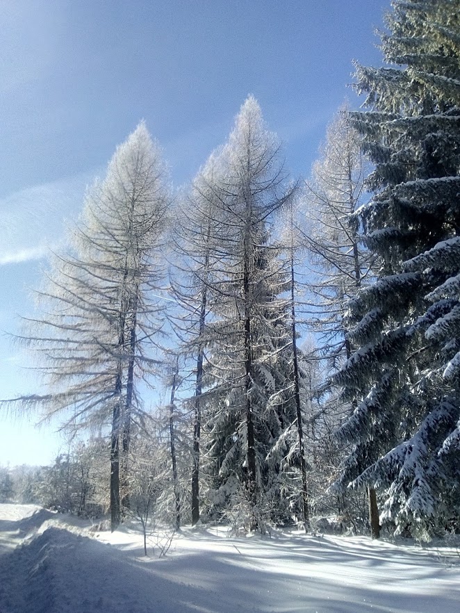 Smeštaj u Sokobanji na vaučere