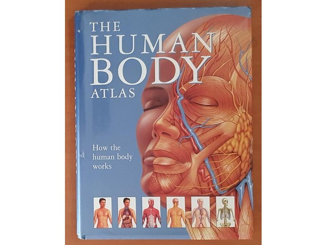 The Human Body Atlas How the Human Body Works