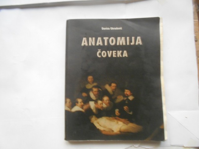 Anatomija čoveka, D.Obradović, zmaj ns