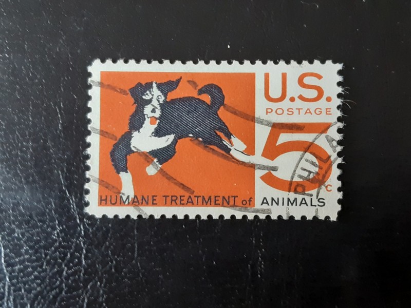 USA 1966