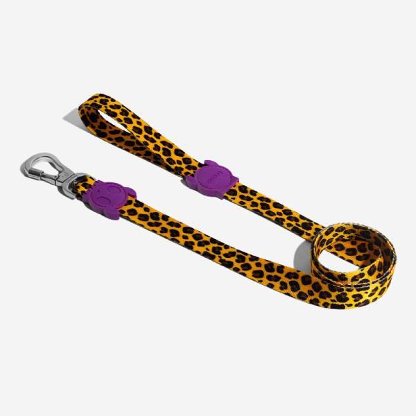 ZeeDog Honey Leash Povodac za pse - Small