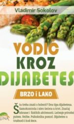 Vodič Kroz Dijabetes Od Vladimir Sokolov