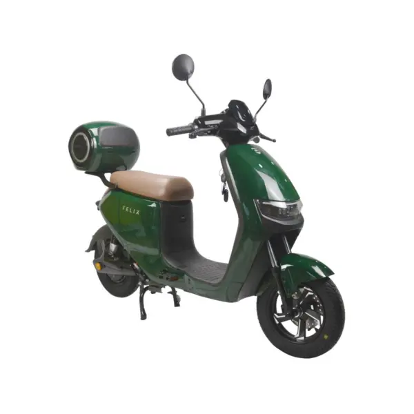 GALAXY Električni bicikl FELIX 10″ (250W 48V/20Ah) Zeleni
