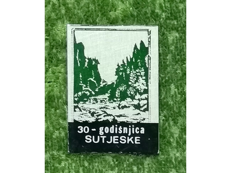 30-GODIŠNJICA SUTJESKE.