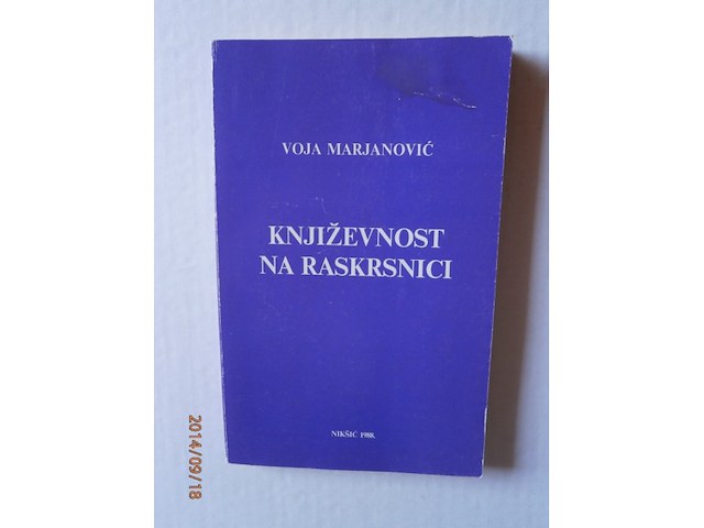 Književnost na raskrsnici, Voja Marjanović