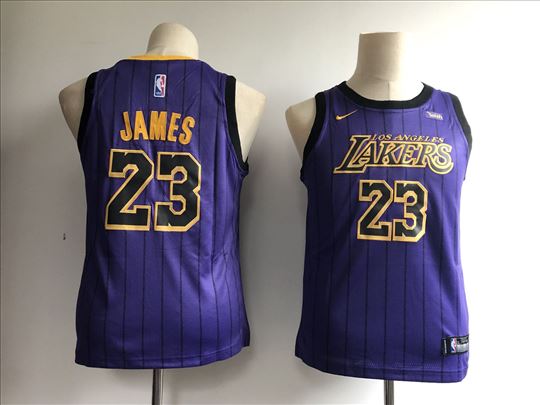 LeBron James Los Angeles Lakers NBA deciji dres 9