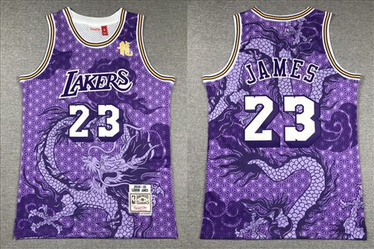 LeBron James - Los Angeles Lakers NBA dres #43