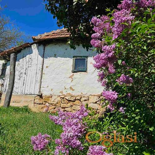 Bogovina-staroseosko domacinstvo sa oko 3ha zemljista u komadu (33568m2)