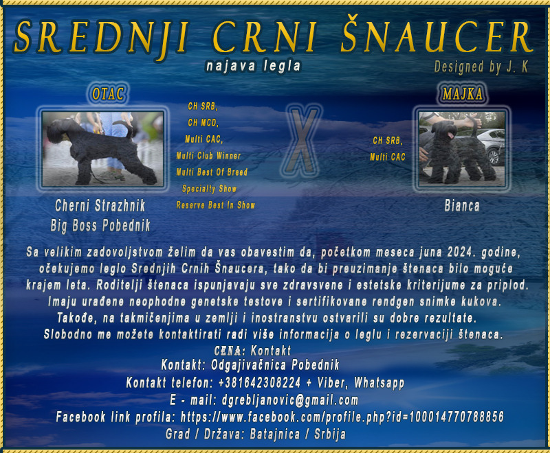 Srednji Crni Šnaucer