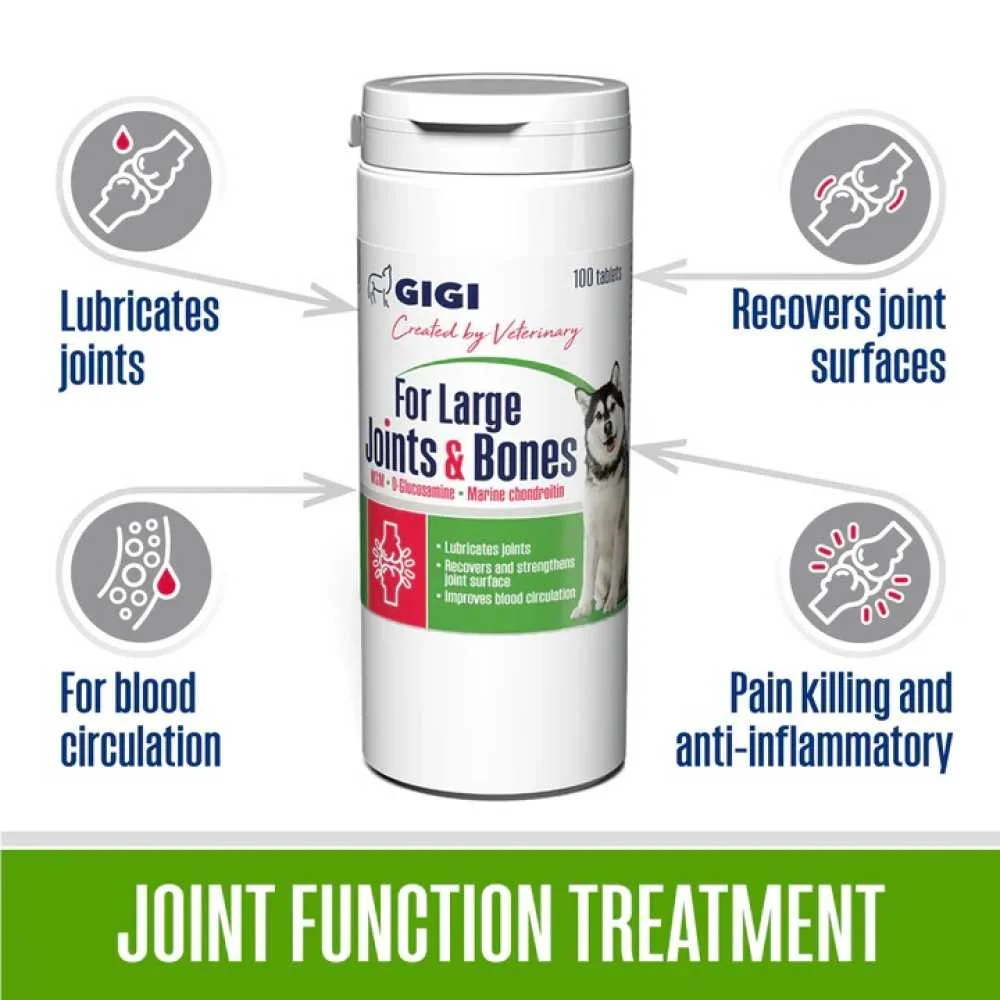 GIGI For Large Joints&Bones za zglobove 100 tableta