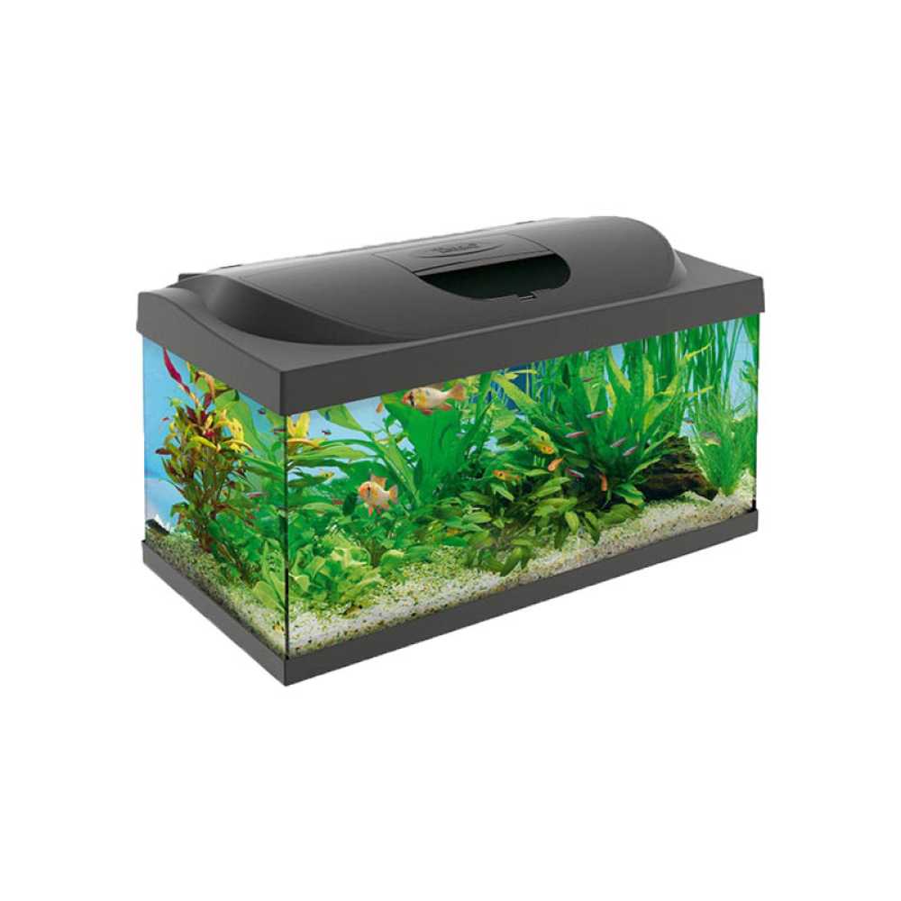 Tetra Akvarijum Start Line LED 54l