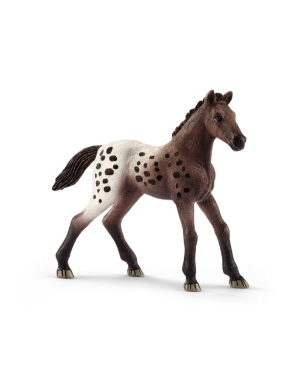 Appaloosa Zdrebe