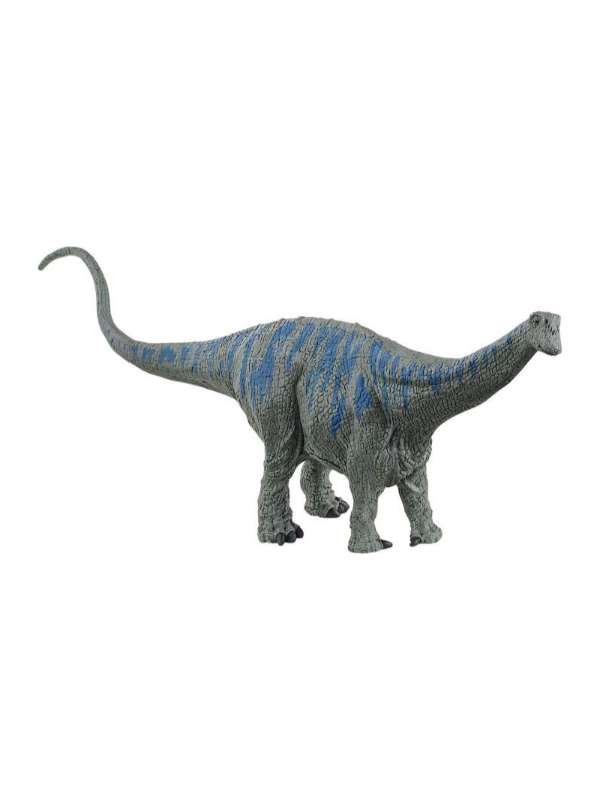 Brontosaurus