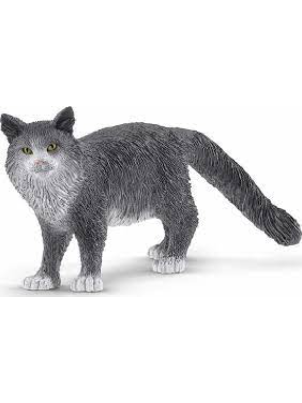 Macka Maine Coon 13893