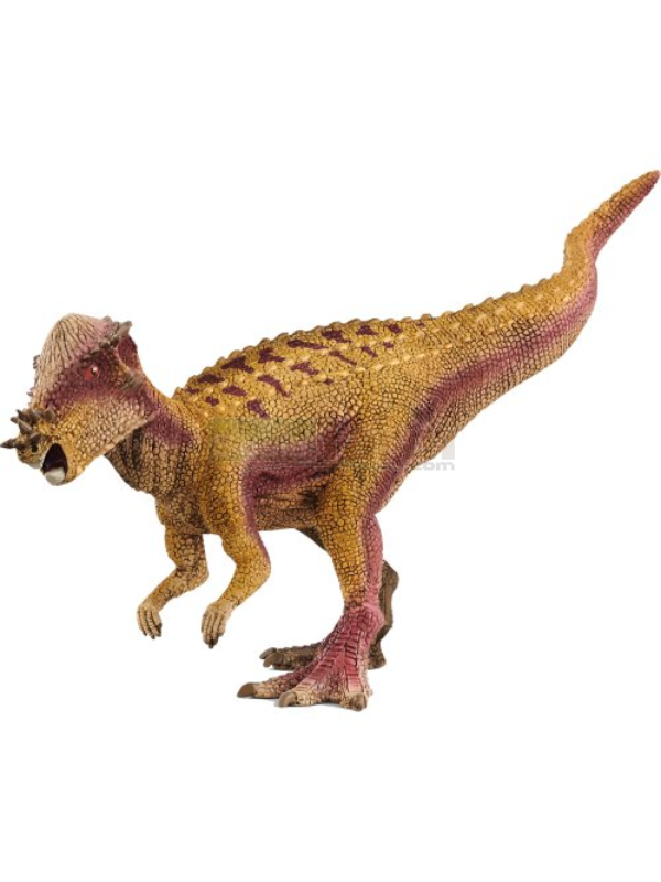 Pachycephalosaurus