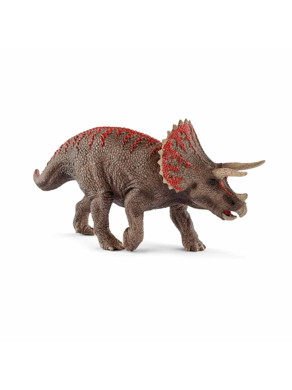 Triceratops