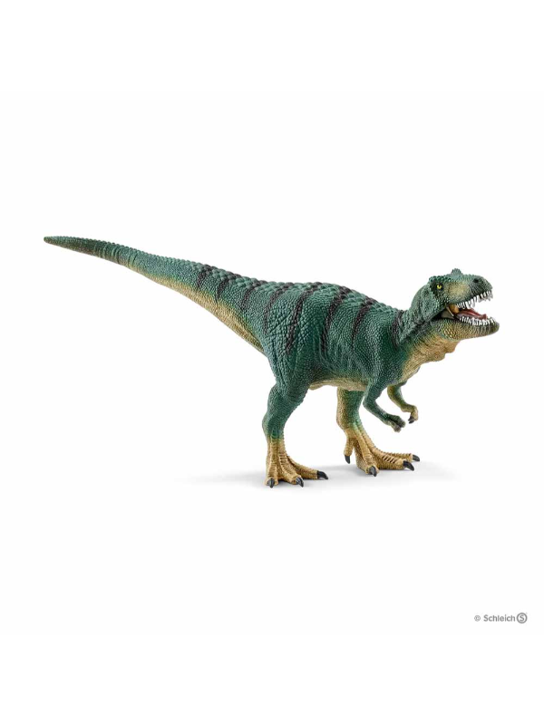 Tyrannosaurus Rex Juvenile