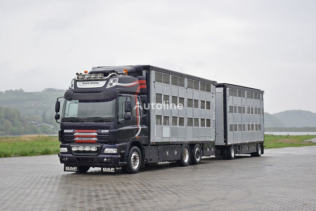 DAF R 500 TIERTRANSPORTWAGEN 7,10m + Anhänger kamion za prevoz stoke + prikolica za prevoz stoke