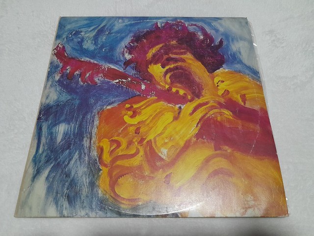 Jimi Hendrix - 2LP Jimi Hendrix Concerts