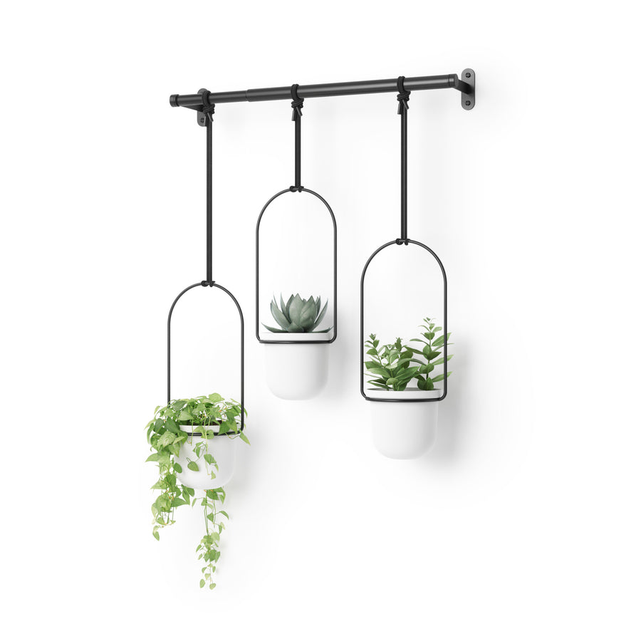 SAKSIJE ZA ZID NA STALKU – TRIFLORA hanging planters, SET OF 3
