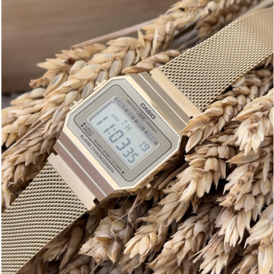 Casio Vintage