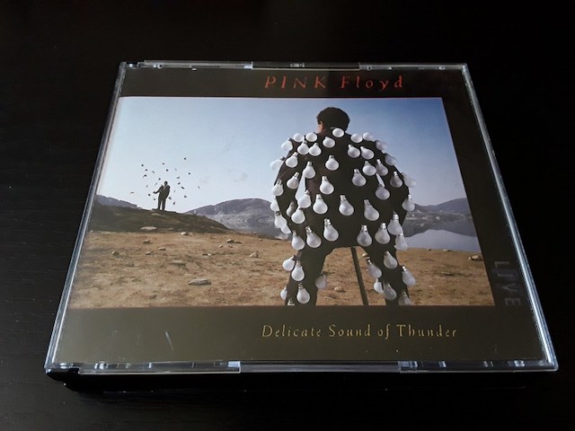 Pink Floyd - Delicate sound of thunder