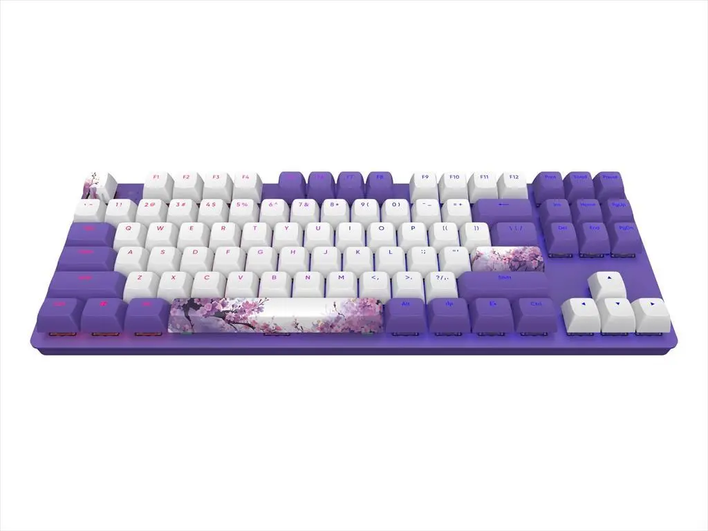 DARK PROЈECT Mehanička tastatura 87 ljubičastih horizonata tkl RGB linearni, +4 prekidač