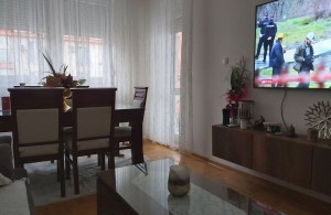 Prodajem Stan-Apartman, Nova Detelinara