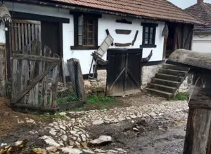 Prodaja Kuća - Boljevac