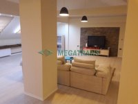 Centar, zasebna kuća, 240 m2, kompletno renovirana – prizemlje + sprat (stu ID#495