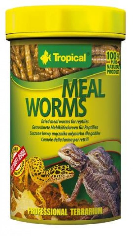 MEAL WORMS osuseni brasneni crvici - hrana za reptile i ribe 100 ml - 13 g