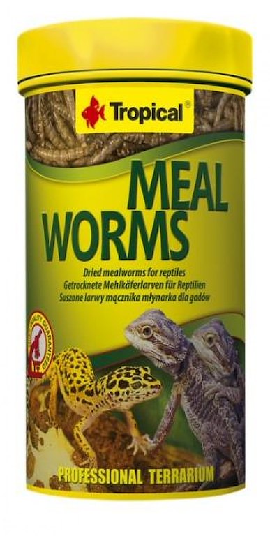 MEAL WORMS osuseni brasneni crvici - hrana za reptile i ribe 250 ml - 30 g
