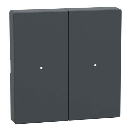 SE Rockers for 2-gang push-button module anthracite System M