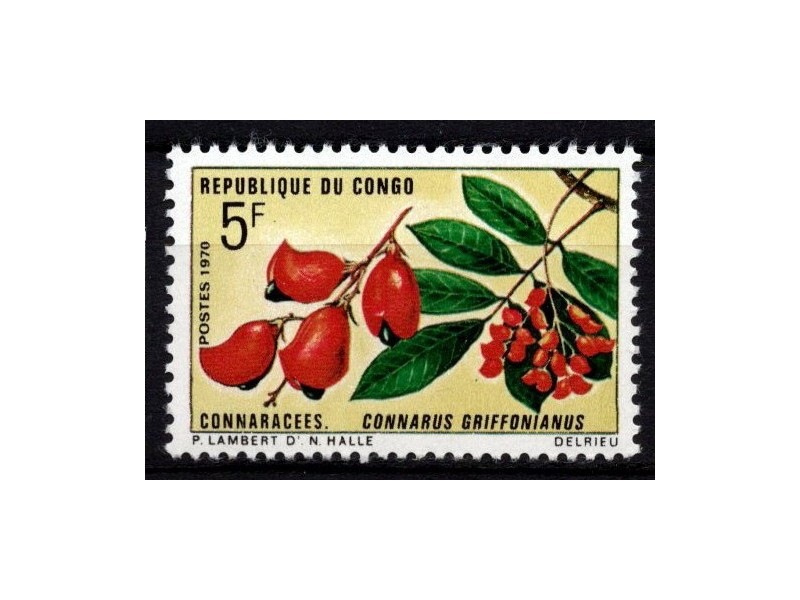 Congo 1970. Flora