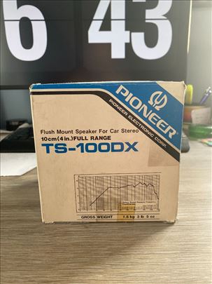 zvucnik Pioneer TS -1000x