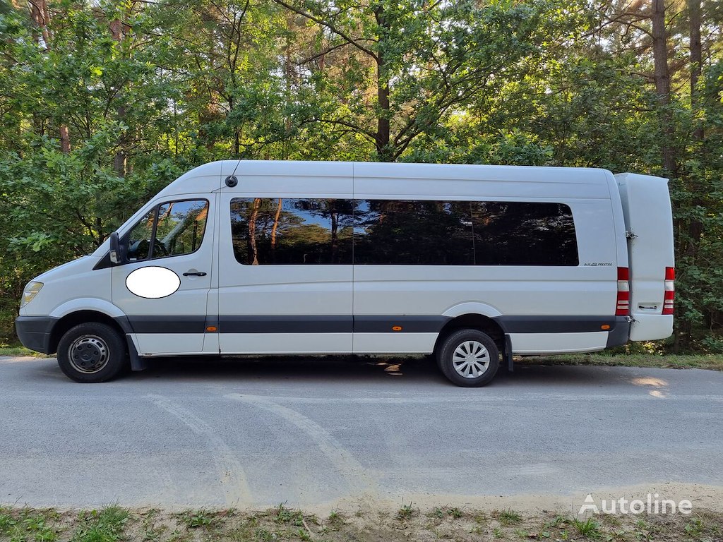 Mercedes-Benz Sprinter 519, 3,0 V6 + Plecak putnički minibus