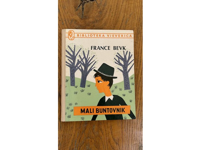 FRANCE BEVK * MALI BUNTOVNIK