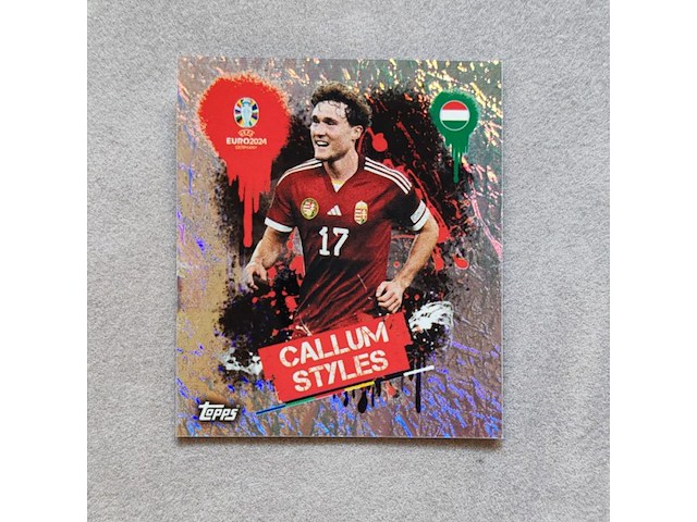 EURO 2024 GERMANY slicica HUN03