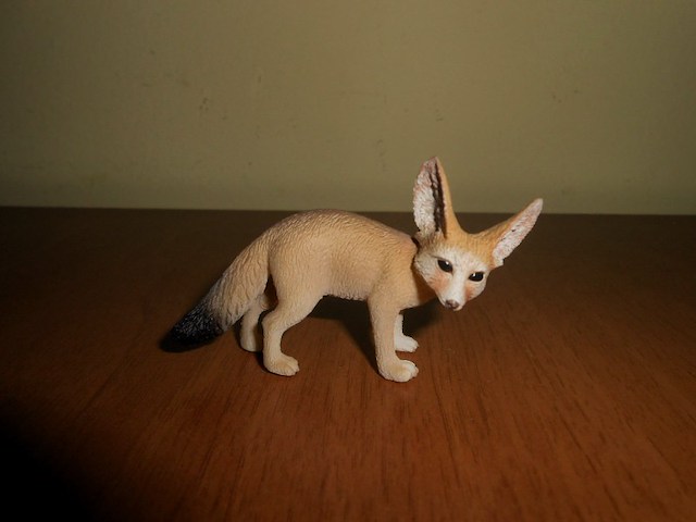 Collecta - Fennec Fox