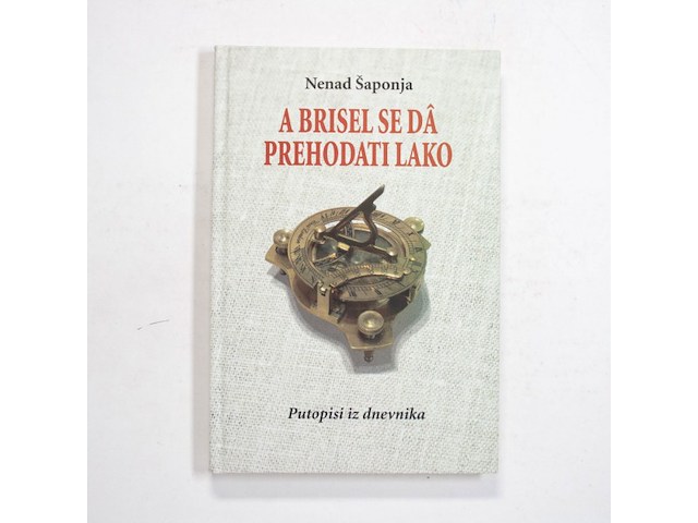 A Brisel se da prehodati lako, Nenad Šaponja