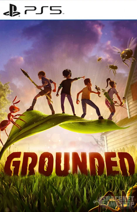 Grounded PS4/PS5