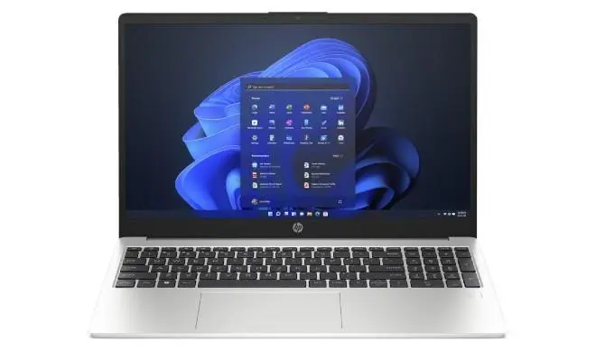 HP Laptop 255 G10 (7N0C5ES)