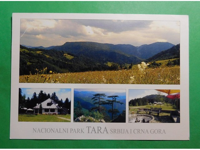 Tara - Nacionalni park SiCG