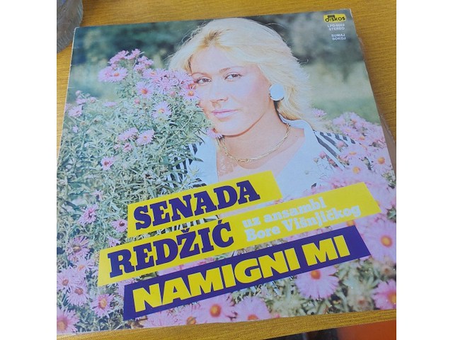 Senada Redžić uz ansambl Bore Višnjičkog ‎– Namigni mi