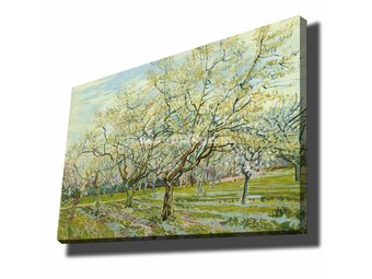 WALLXPERT Dekorativna slika 70100VANGOGH017