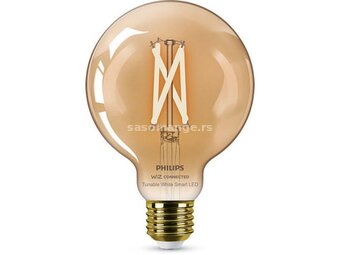 PHILIPS Smart LED Sijalica PHI WFB 50W G95 E27