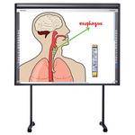 Hitachi FXDUO-88W 88" StarBoard FXDuo Interactive Whiteboard