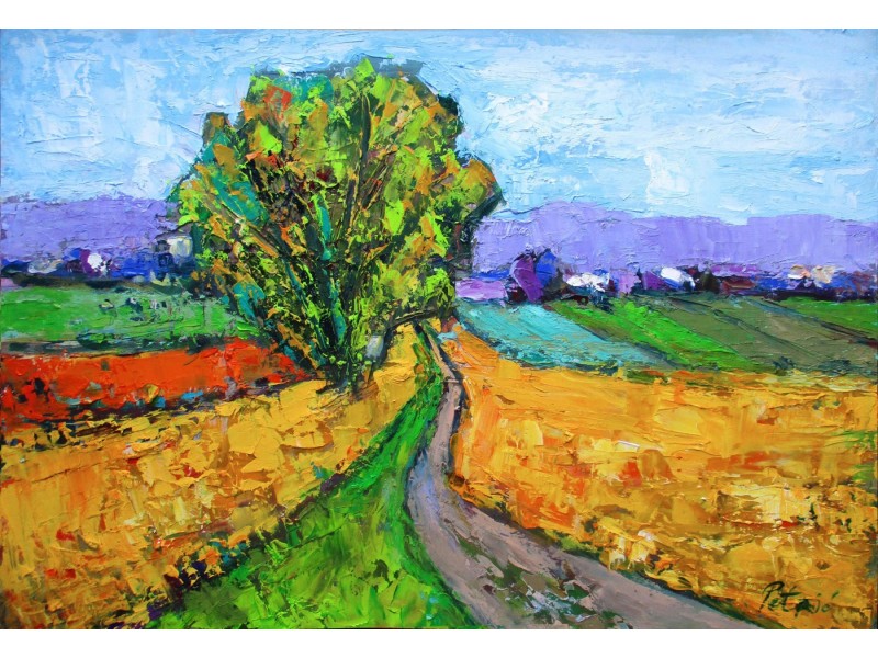 Pogled na njive - ulje 40 x 60 cm.