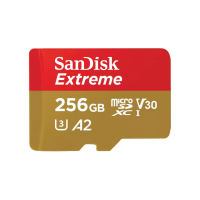 SD Card 256 GB SanDisk SDSQXAV-256G-GN6MA