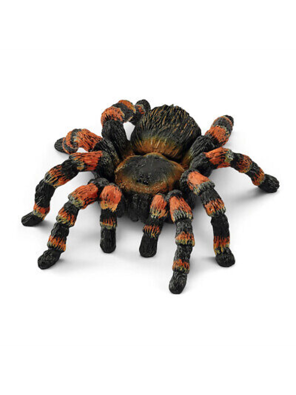 Tarantula